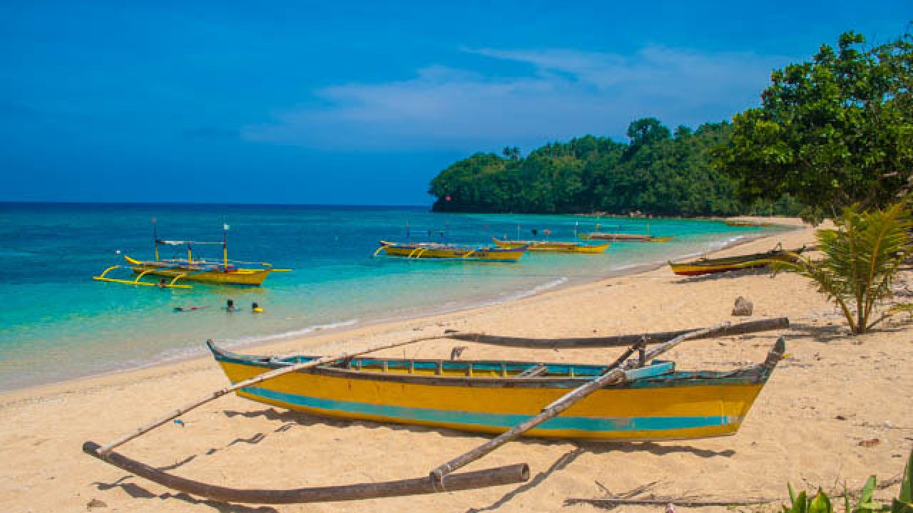 Virac Logo Transparency Seal | Virac Water District | Official Website