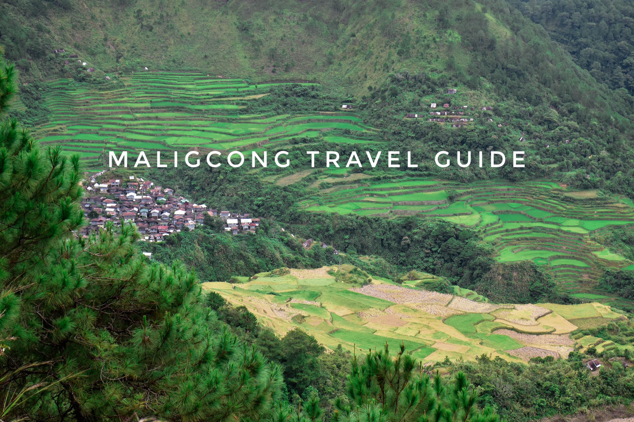 MALIGCONG BONTOC TRAVEL GUIDE 2019: ( ITINERARY + BUDGET) - Pinay Solo ...