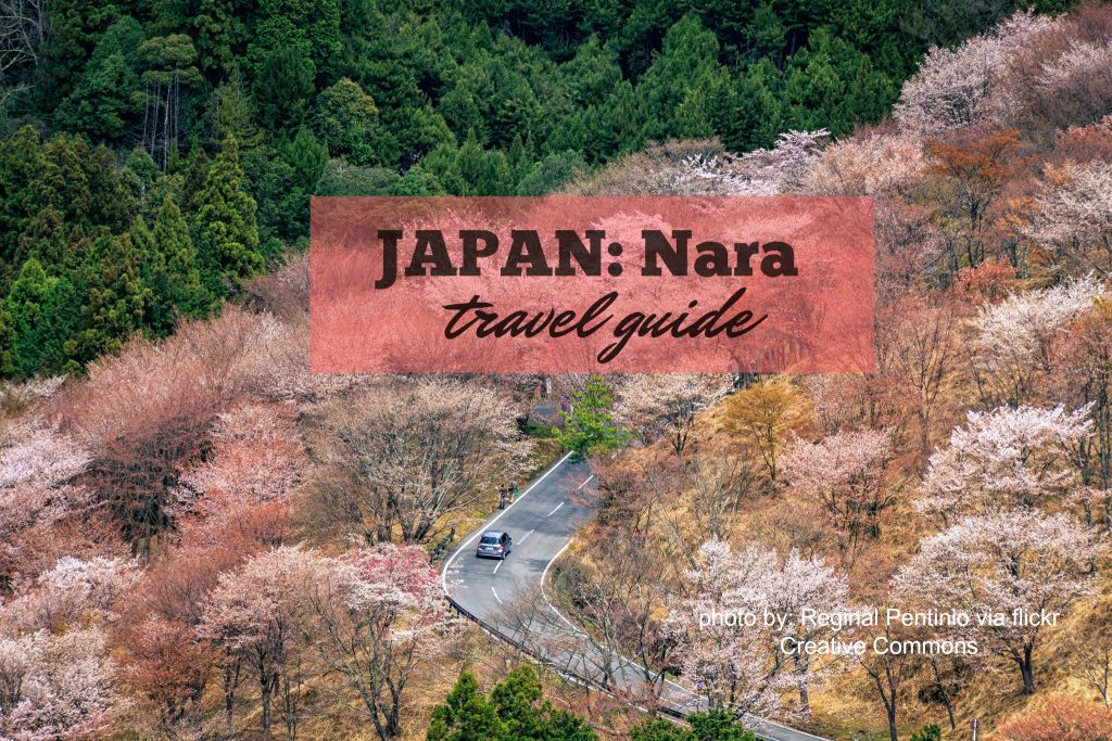 NARA: Travel Guide (Budget + Itinerary) 2019 l The Pinay Solo Backpacker Blog
