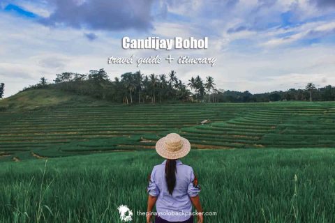 2024 CANDIJAY BOHOL: Travel Guide (Itinerary + Budget) - The Pinay Solo ...