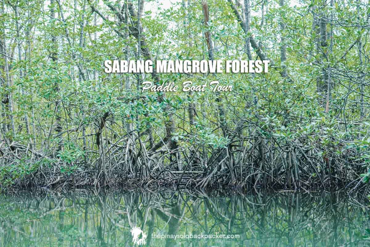 2022 SABANG MANGROVE FOREST TOUR: PUERTO PRINCESA - The Pinay Solo ...